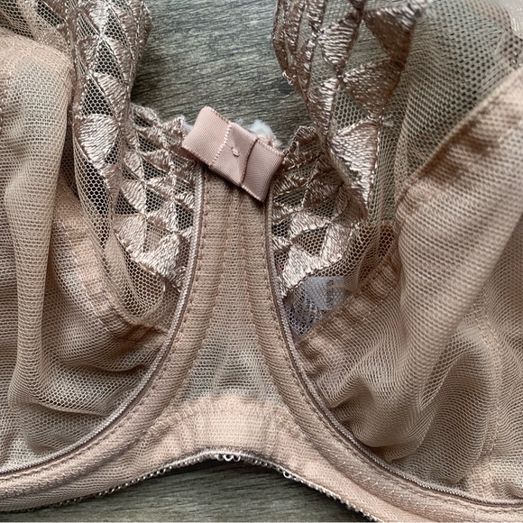 cleo | Intimates & Sleepwear | Cleo Panache Underwired Mesh Lace ...